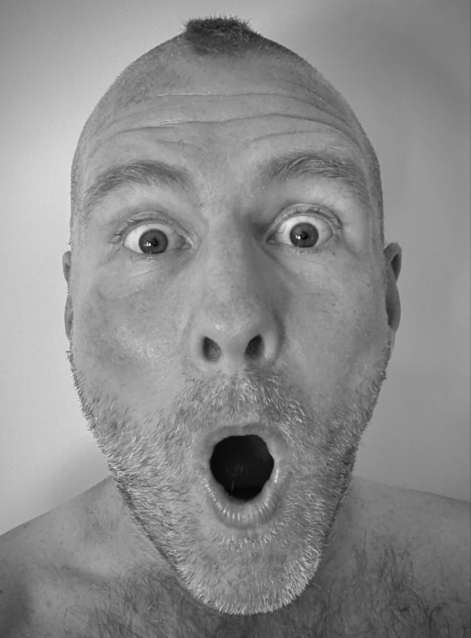 the existential navigator – eudaimon.dk