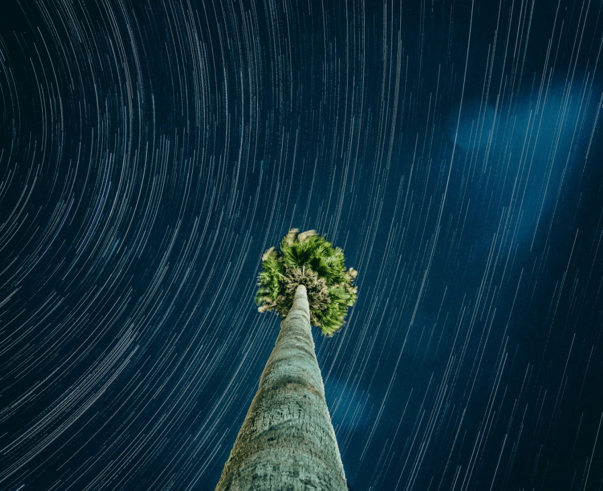 Standing with dignity through realization and action in a collapsing world – eudaimon.dk